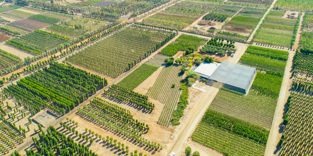 Moon Valley Nursery - Arizona Blog